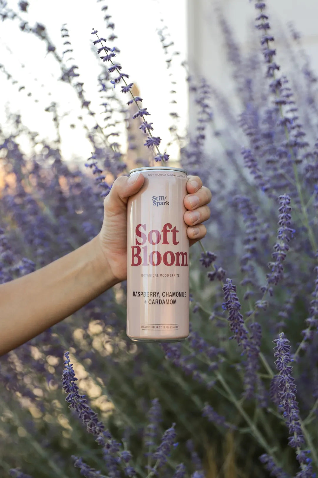 Soft Bloom – Hummingbird Heart Co. Kombucha & Dry Elixir Bar / NA ...